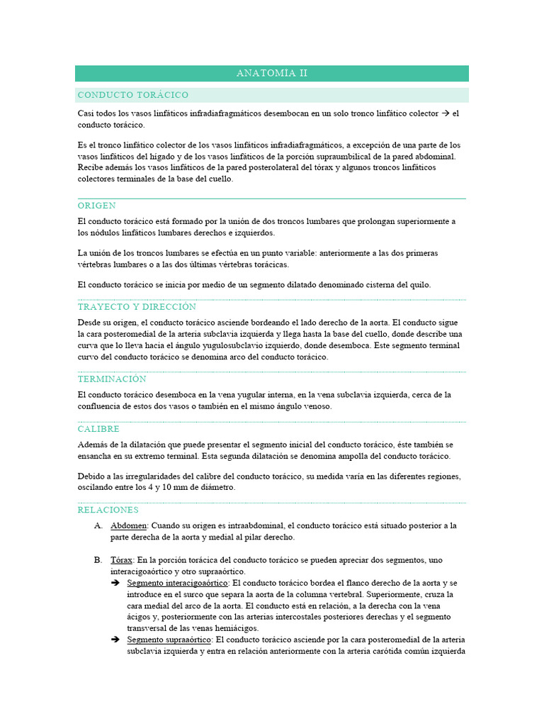 Conducto Torácico: Anatomía y Función | PDF | Tórax | Sistema linfático
