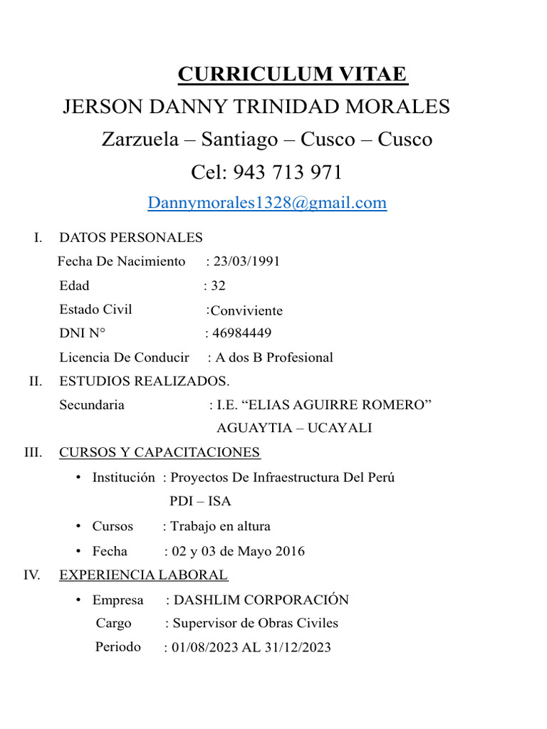Curriculum Vitae - Trinidad Morales Danny | Descargar gratis PDF | Business | Ingeniería