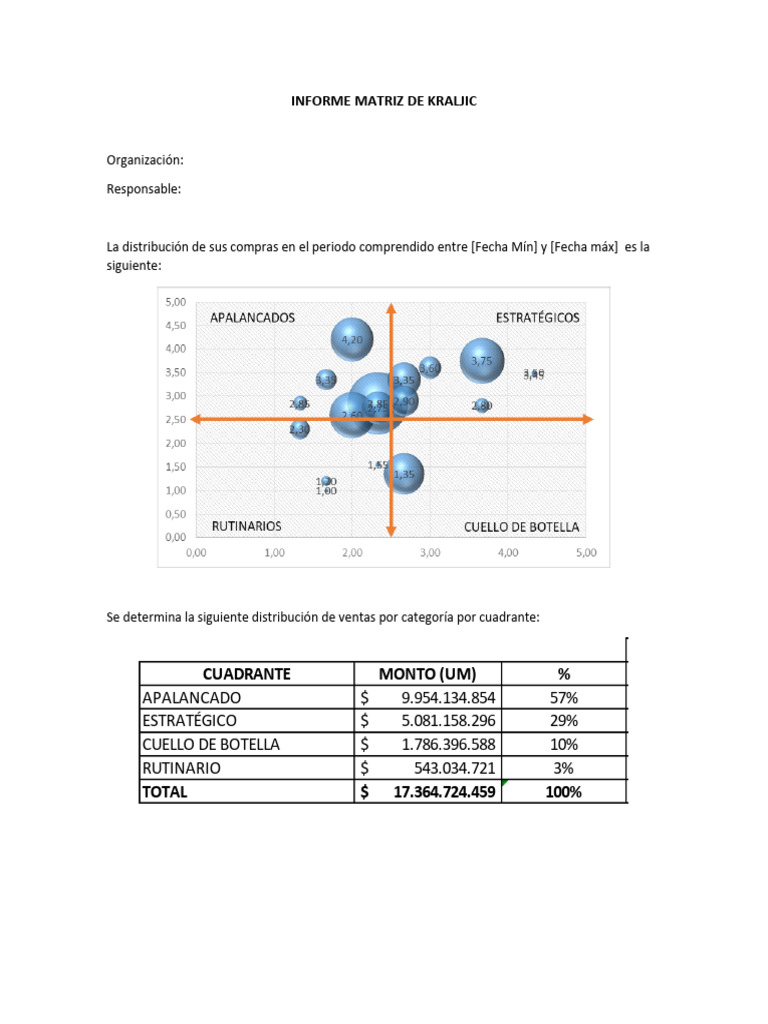 Informe Tipo Matriz EJEMPLO | PDF