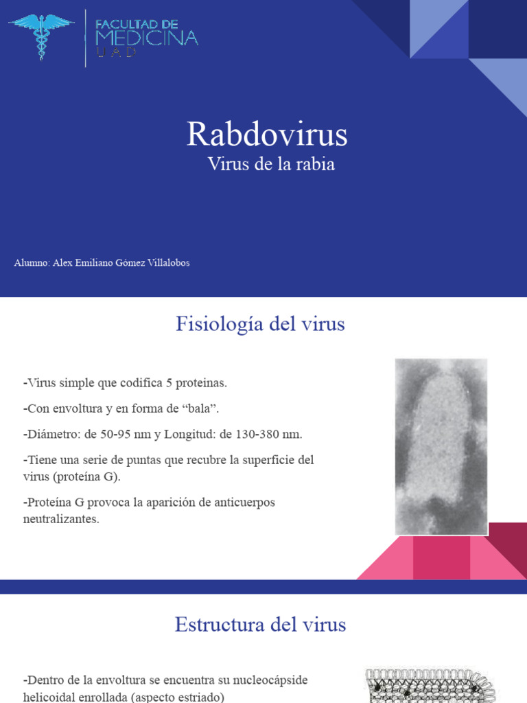 Rabdovirus: Estructura y Patogenia | PDF | Rabia | Virología