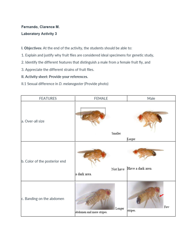 Laboratory Activity 3 Variations in Drosophila melanogaster | PDF ...