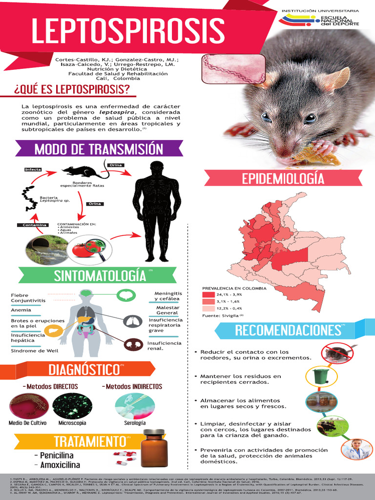 Leptospirosis | PDF