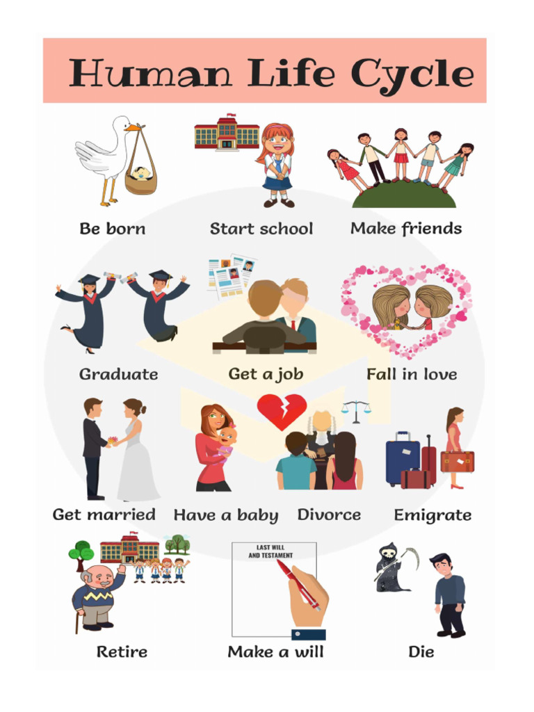 Human Life Cycle Pdf