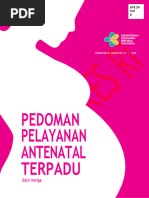 HKI Leaflet ANC Terpadu - 2023 | PDF