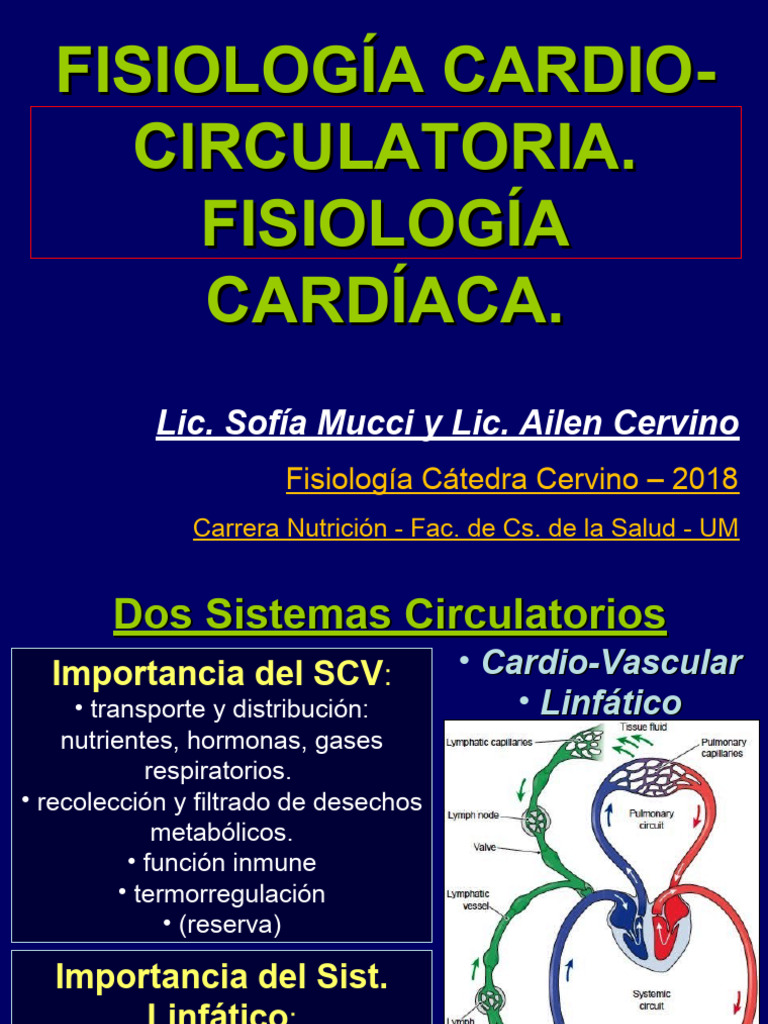 Bomba Cardíaca Fisiologia | Descargar gratis PDF | Corazón | Sistema ...