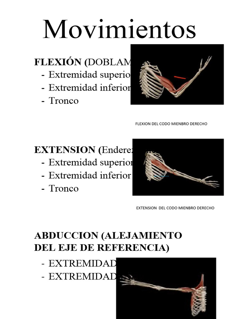 Movimientos Anatomicos | PDF