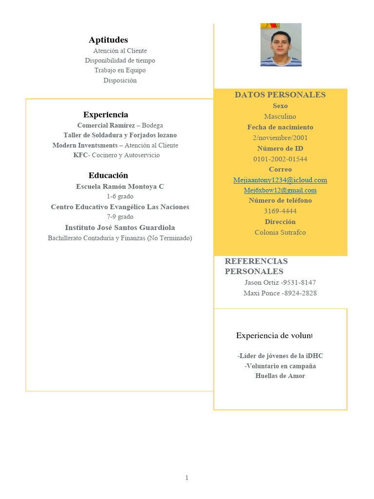 Currículum de Experiencia Laboral | PDF