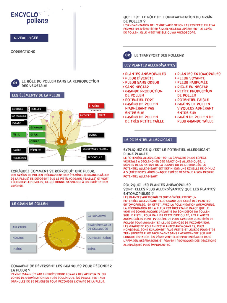 Rôle du pollen dans la reproduction végétale | PDF | Pollen | Pollinisation