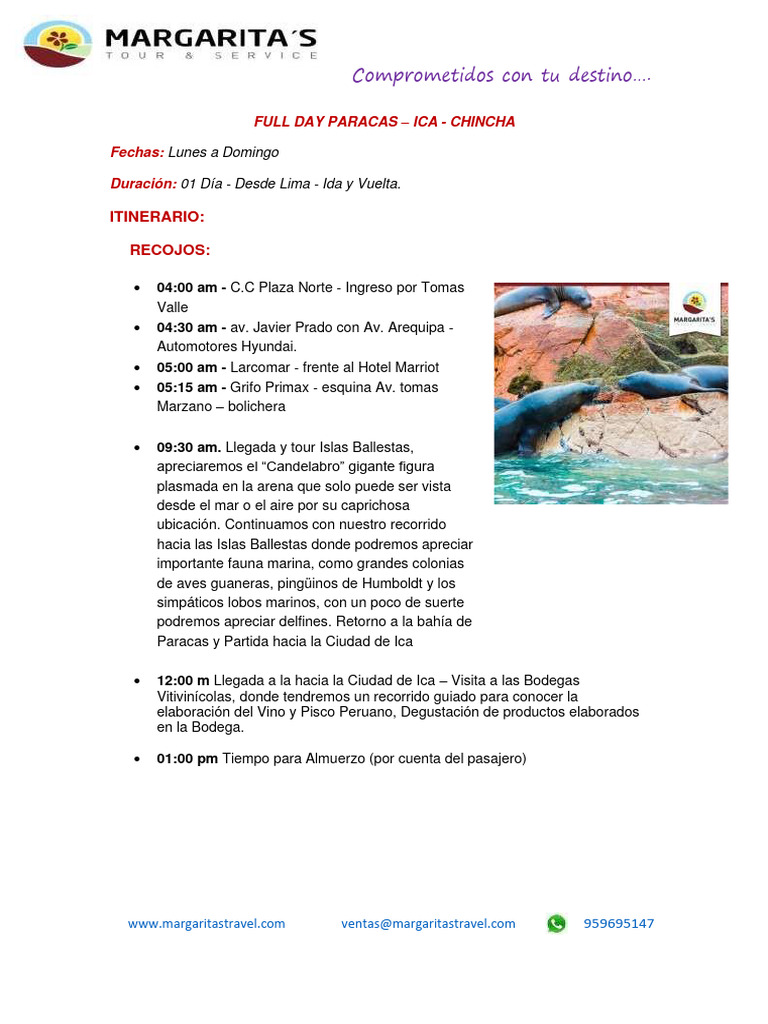 Tour Full Day Paracas e Ica desde Lima | PDF | Bancario