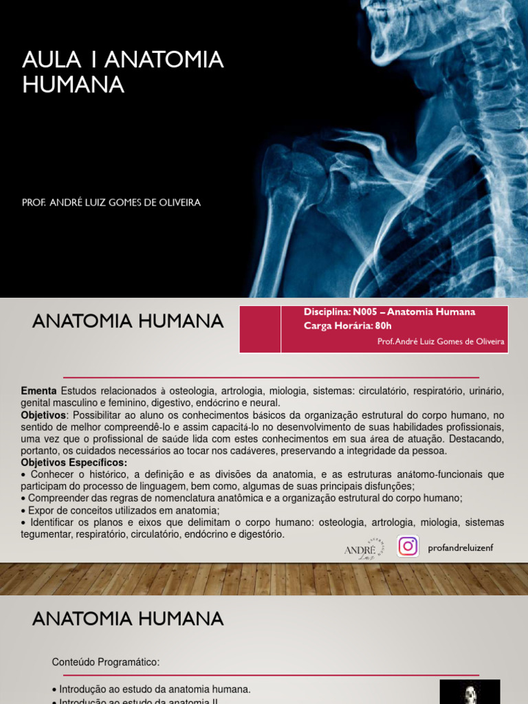 Aula 1 Anatomia Humana Download Grátis Pdf Osso Esqueleto