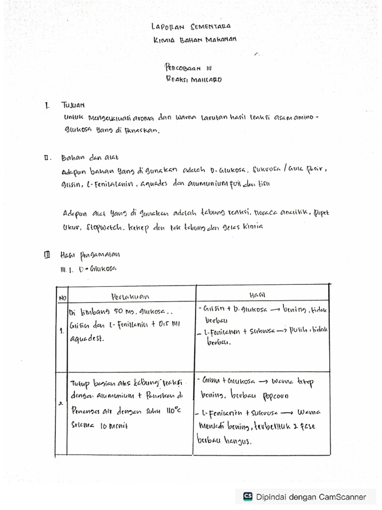 Laporan Sementara Perc.3-1 | PDF
