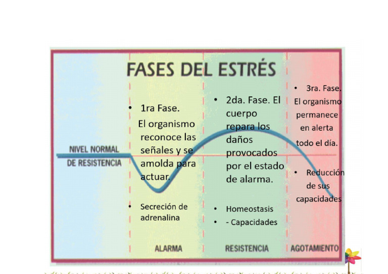 Fases Del Estres | PDF