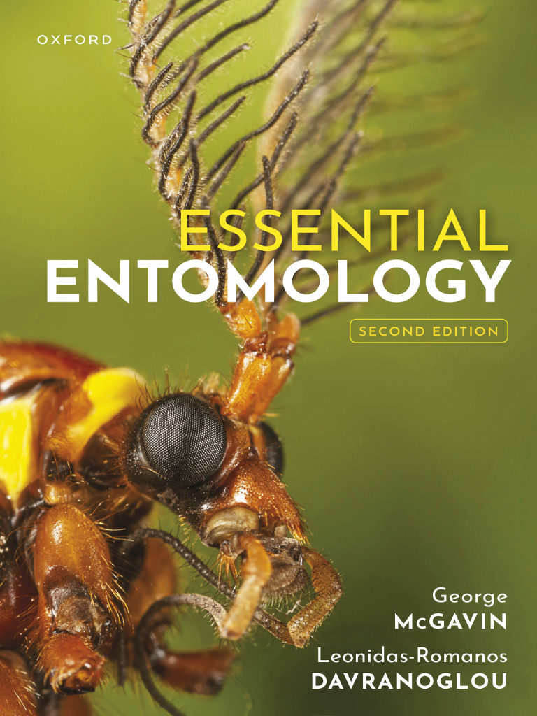 Essential Entomology | PDF | Insects | Biology
