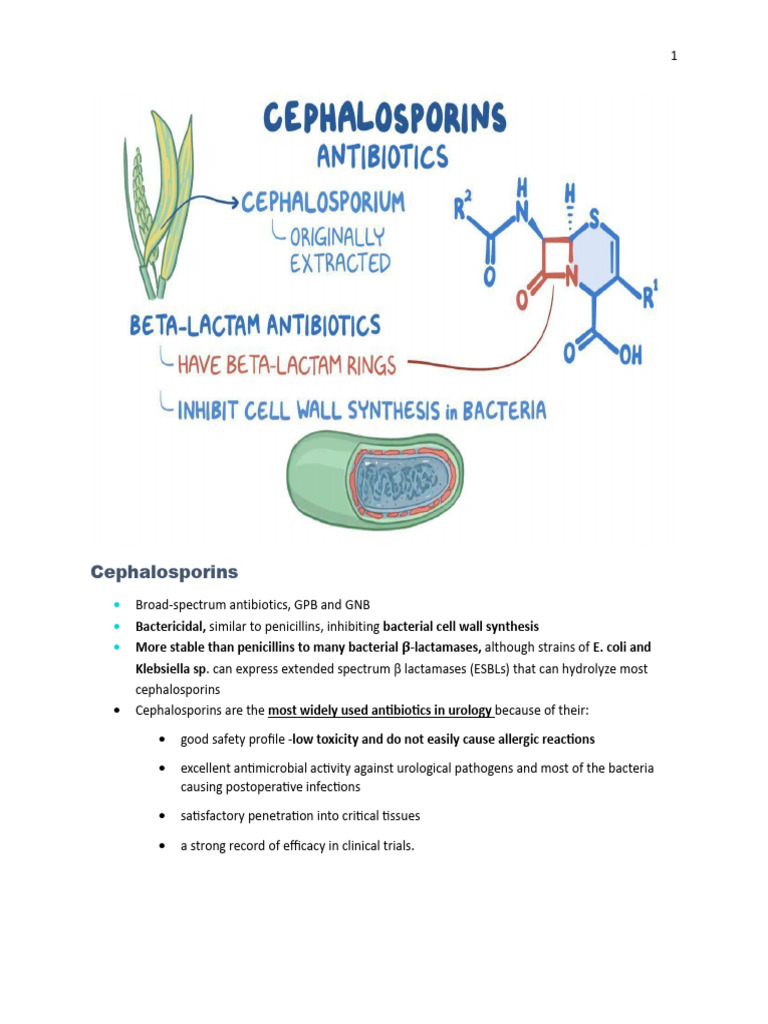 Pharma URO Cephalosporins | PDF | Beta Lactamase | Penicillin