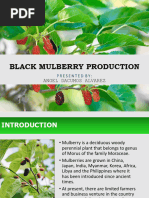 Highway Code Updated 2020 | PDF | Traffic | Traffic Light