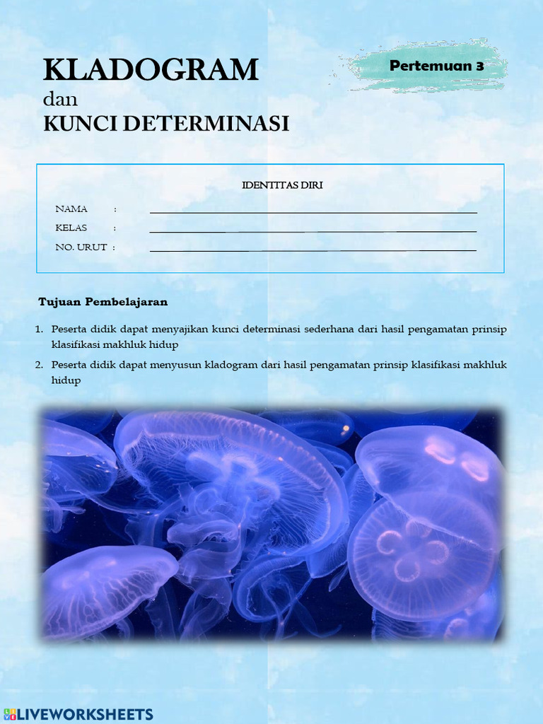 Kunci Determinasi dan Kladogram Hewan | PDF