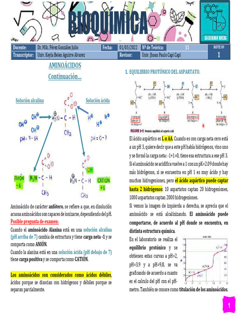 Aminoácidos: Estructura y Análisis Bioquímico | PDF | Aminoácidos | Ph