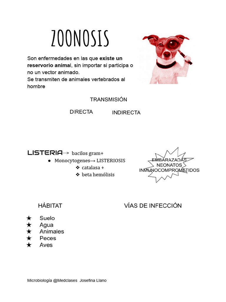 Zoonosis | PDF | Ántrax | Enfermedad de Lyme