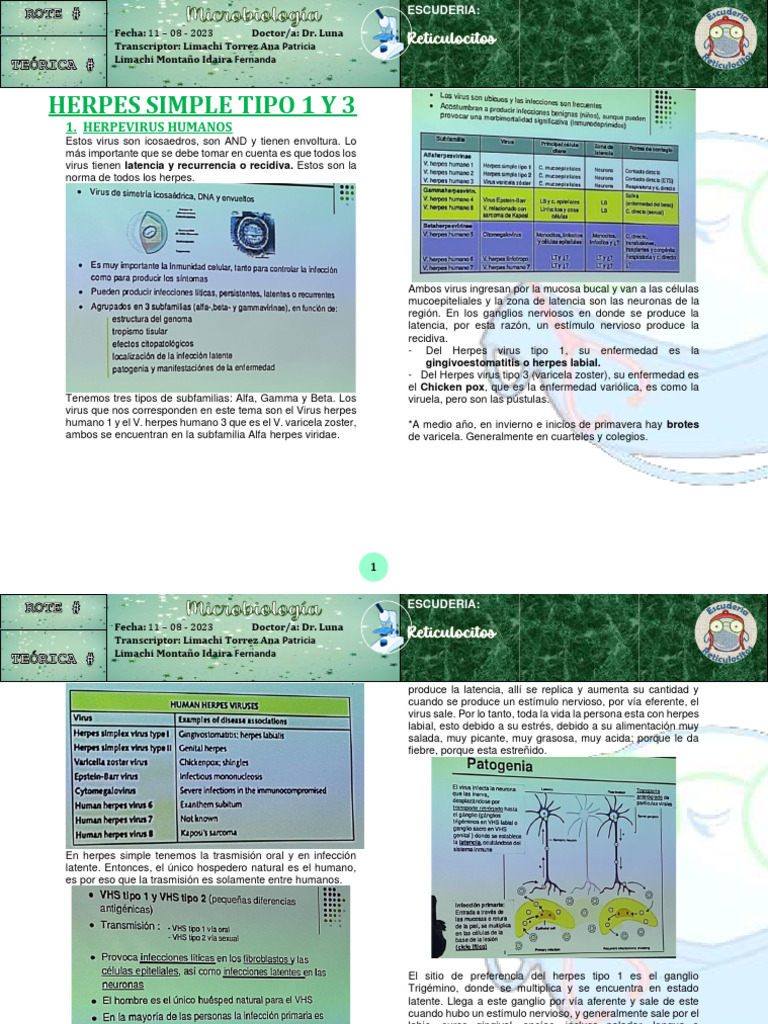 Herpes Simple Tipo 1 Y 3: Reticulocitos | PDF | Virus | Causas de la muerte