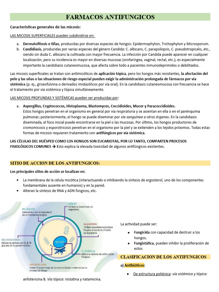FARMACOS ANTIFUNGICOS | PDF | Candidiasis | Medicina CLINICA