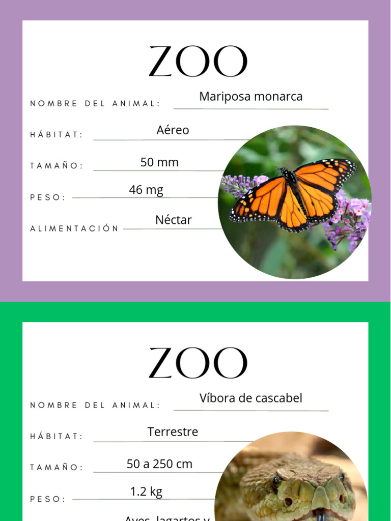 Ficha Informativa | PDF | Zoología