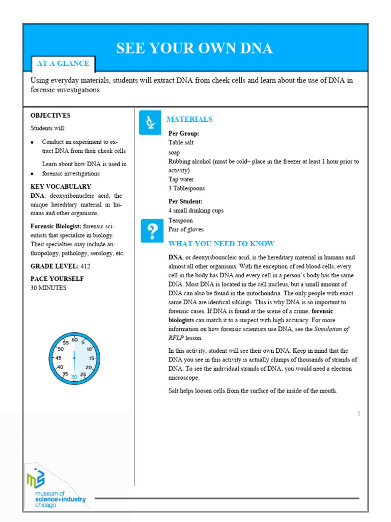See Your Own DNA Lesson | PDF | Dna | Cell (Biology)