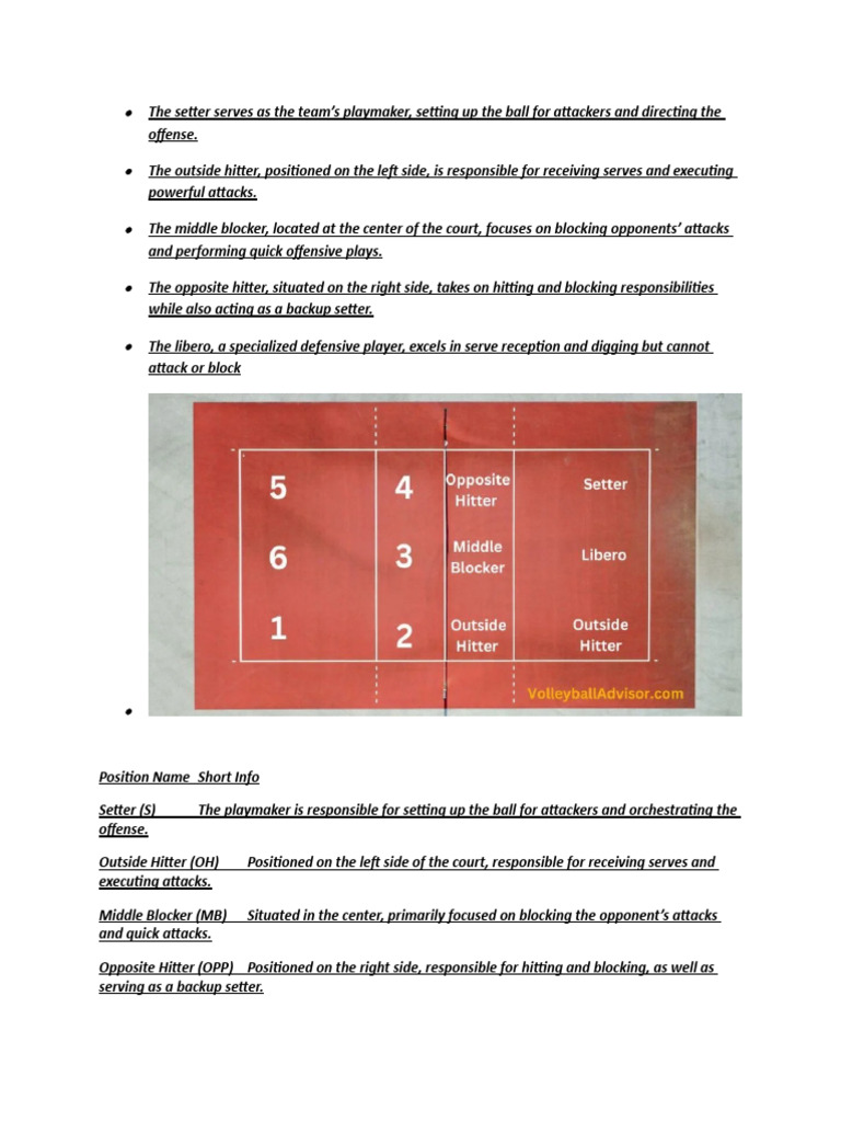 Vball | PDF | Volleyball | Ball Games