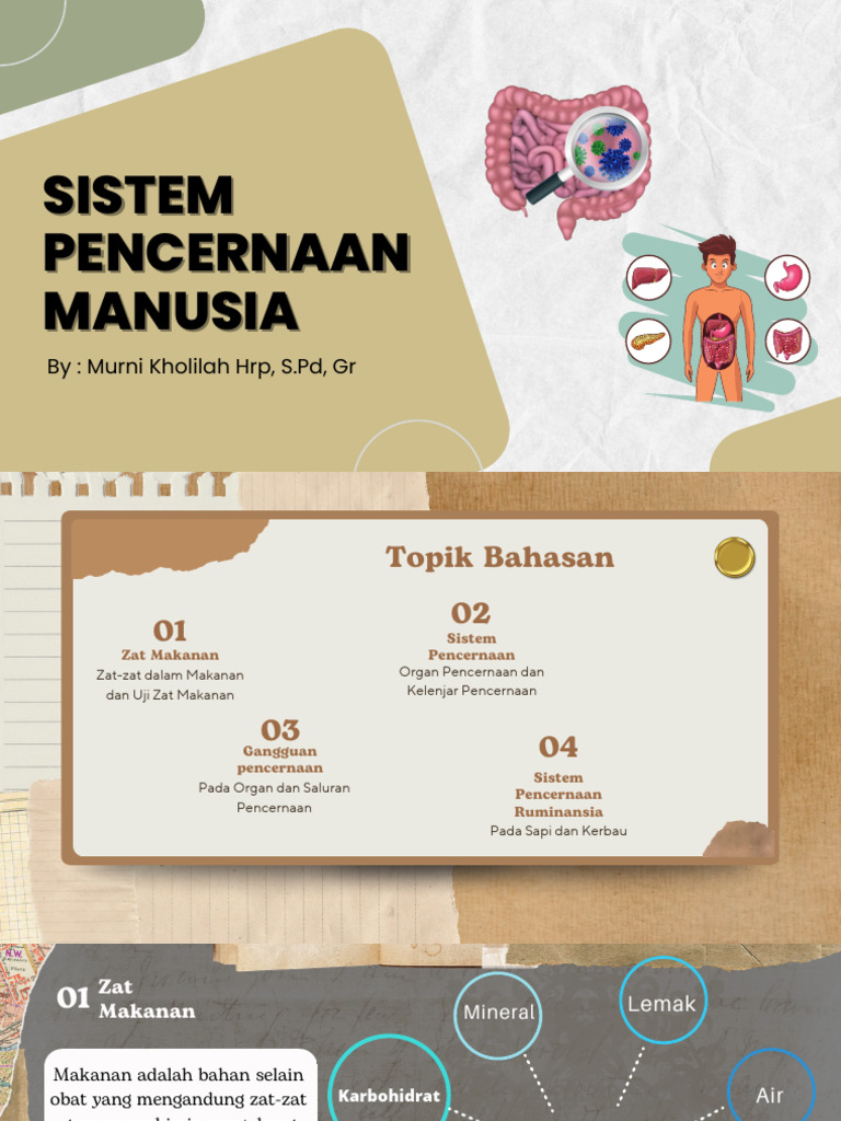 Sistem Pencernaan dan Nutrisi | PDF