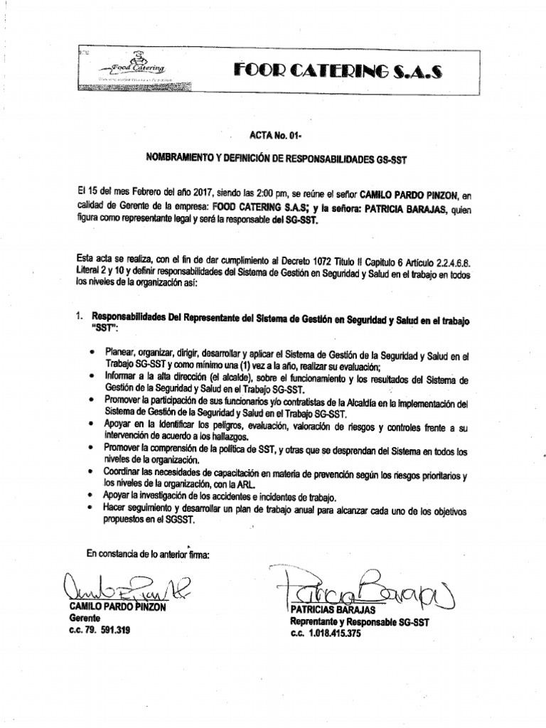 Definicion Responsabilidades | PDF