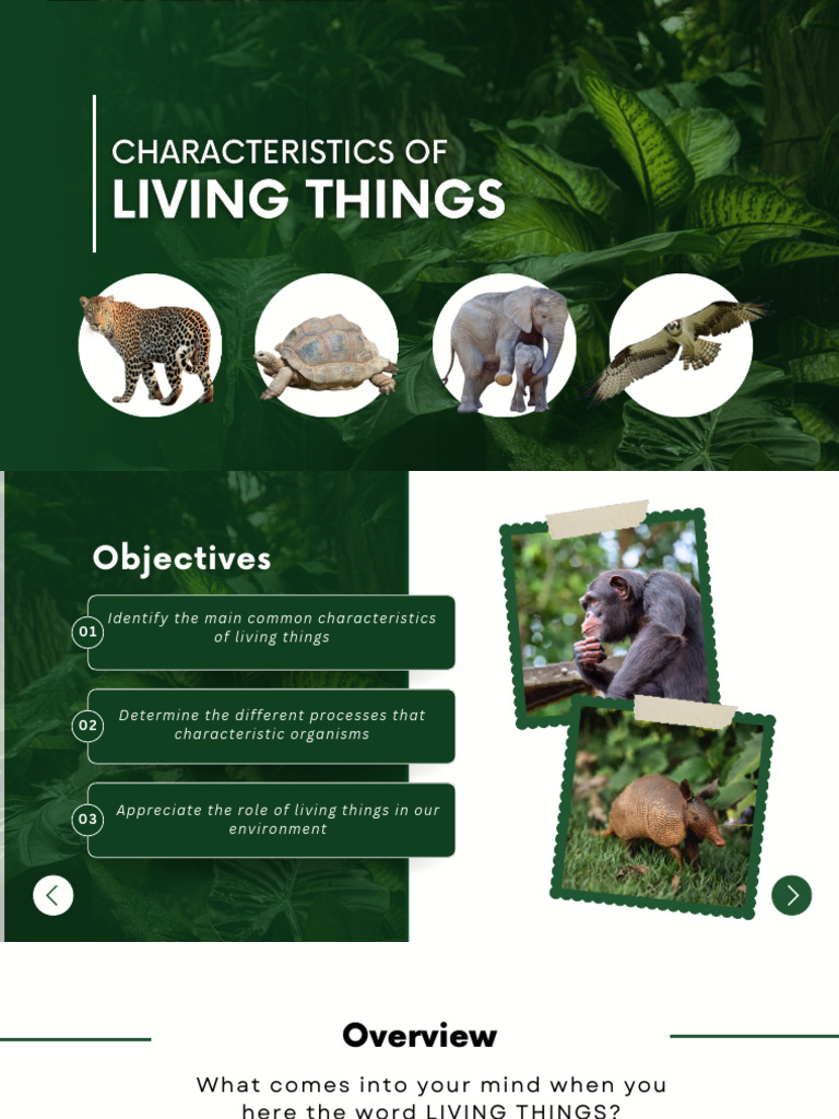 Biological Classification Education Presentation in Simple Outlined ...