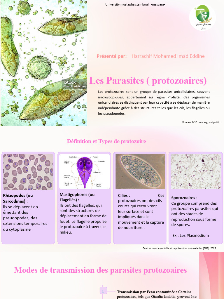 Parasite | PDF | Épidémiologie | Médecine