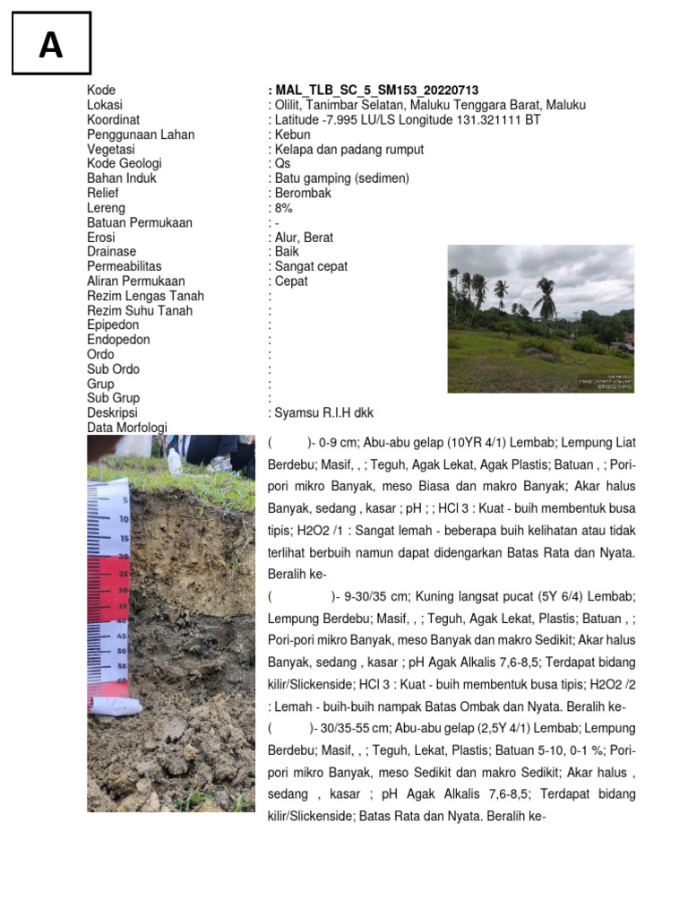 Tugas Terstruktur Tutorial Stela M4 | PDF