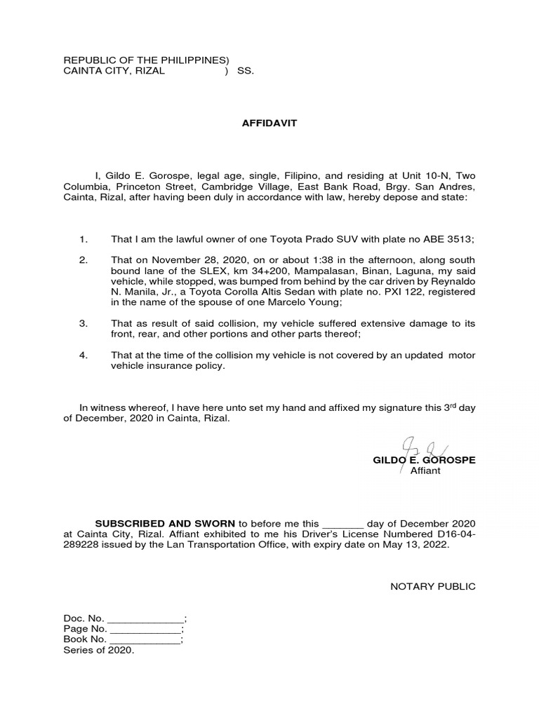 Affidavit of No Insurance pdf | PDF