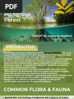 12 Field Guide - Philippine Beach Forest Species | PDF | Plants | Botany