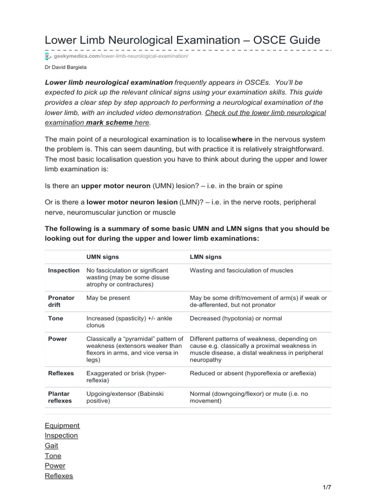 Lower Limb Neurological Examination OSCE Guide | PDF | Anatomical Terms ...