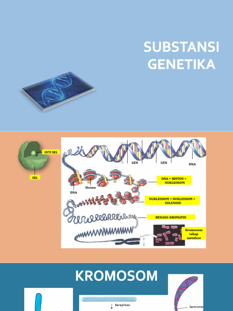 Substansi Genetika | PDF