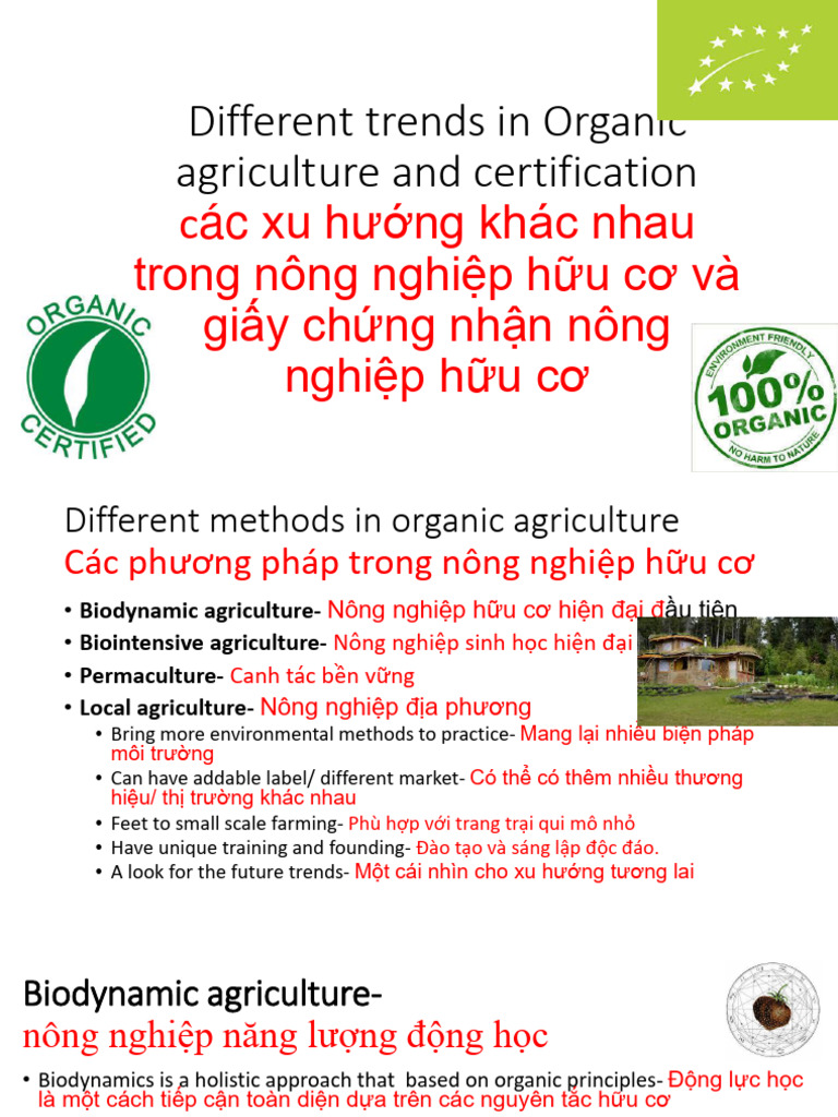 Certification | PDF