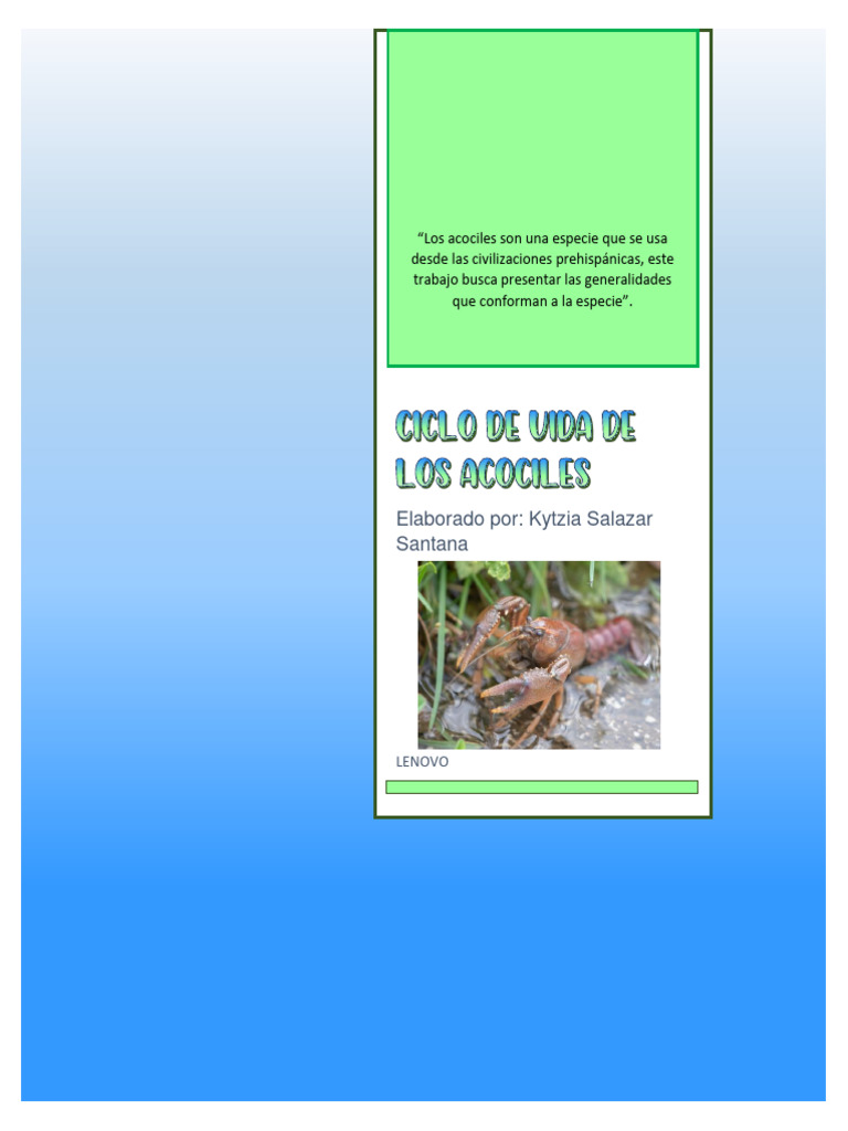 Ciclo de Vida de Los Acociles | PDF | Huevo | Zoología