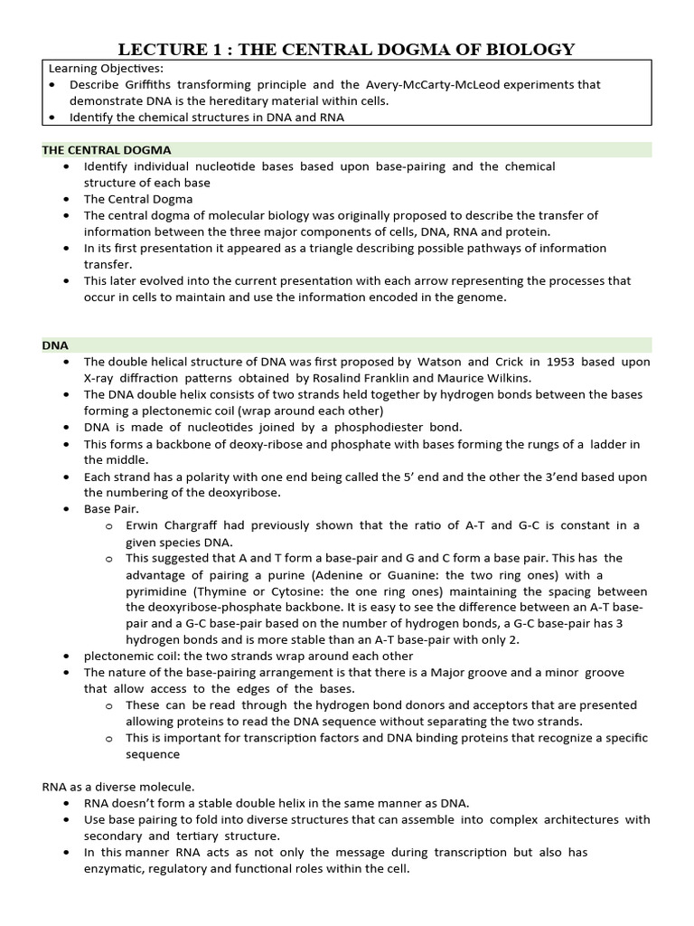Lecture 1 Download Free Pdf Base Pair Dna
