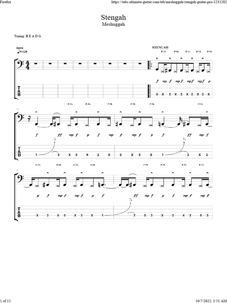 Stengah Guitar Pro 1231202 | PDF