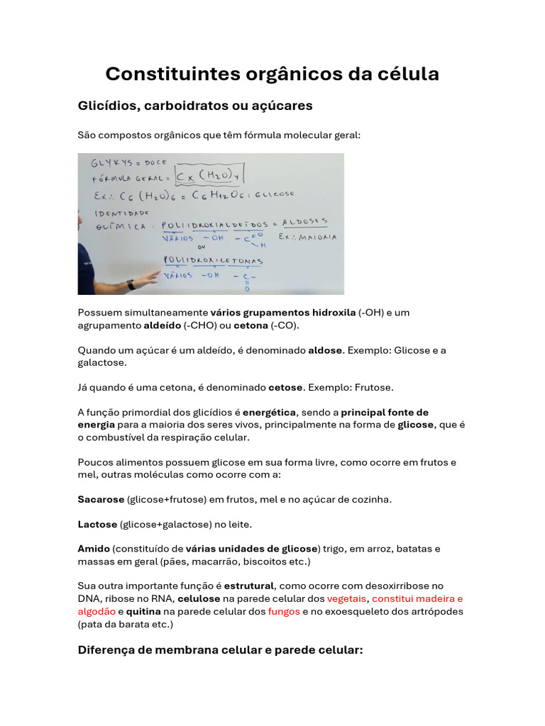 Glicídios | Download grátis PDF | Carboidratos | Célula (Biologia)
