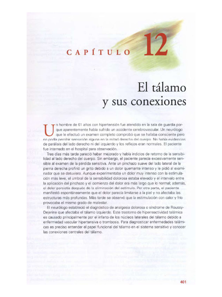 Clase 9 - Tálamo-1 | PDF