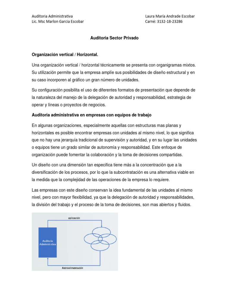 Clase No 13 - Auditoria Sector Privado | PDF | Diseño | Toma de decisiones