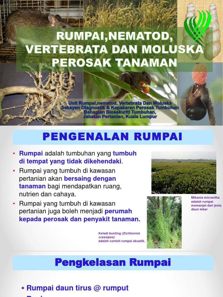 Rumpai, Nematod, Vertebrata Dan Moluksa Sab Edited 25jan2021 | PDF