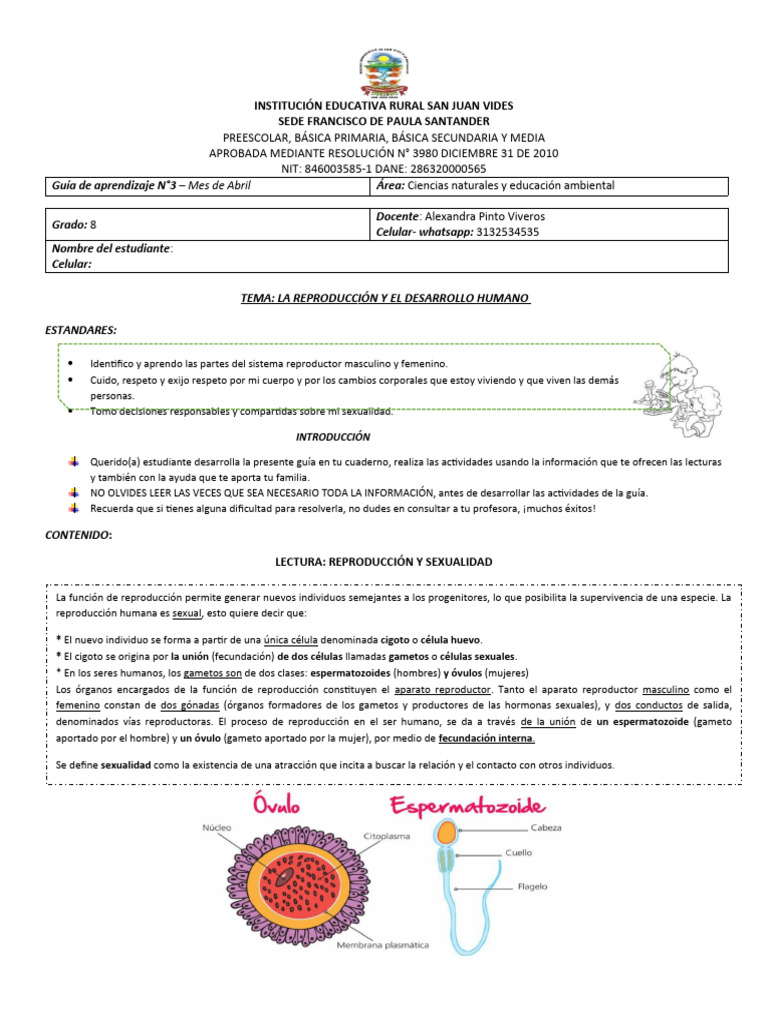 Guía de aprendizaje N°3-Naturales-GRADO 8 | PDF | Sistema reproductivo | Zoología