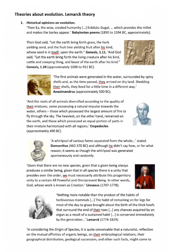 Reading - Theory About Evolution | PDF
