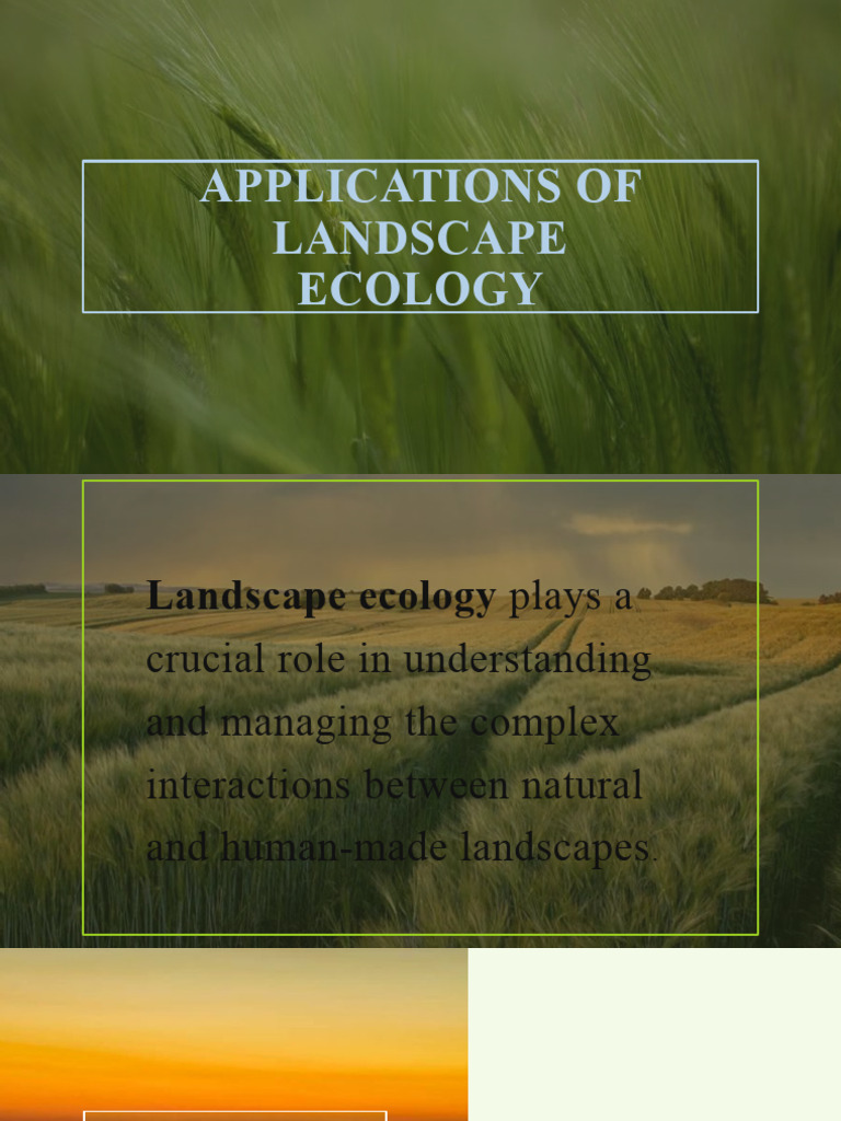 Applications of Landscape Ecology | PDF | Ecology | Landscape