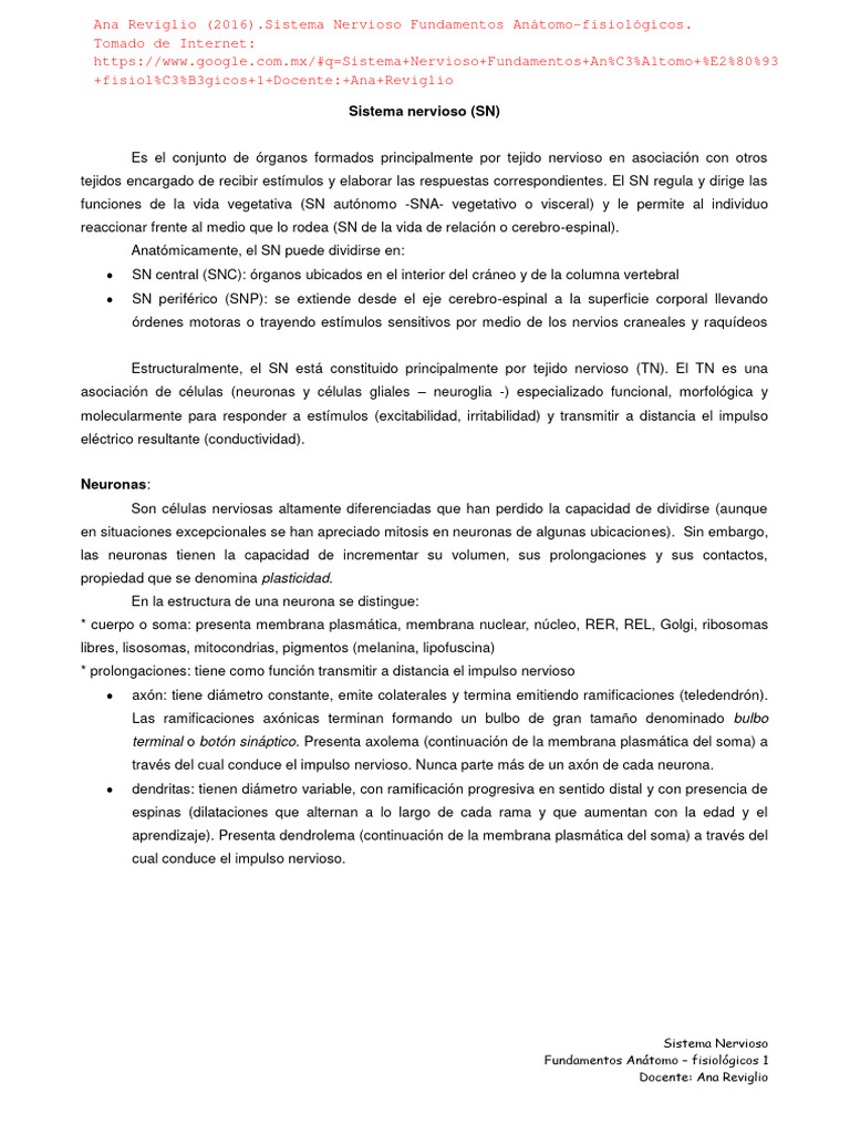 3 Resumen de SNC y SNA | PDF | Sinapsis | Sinapsis química