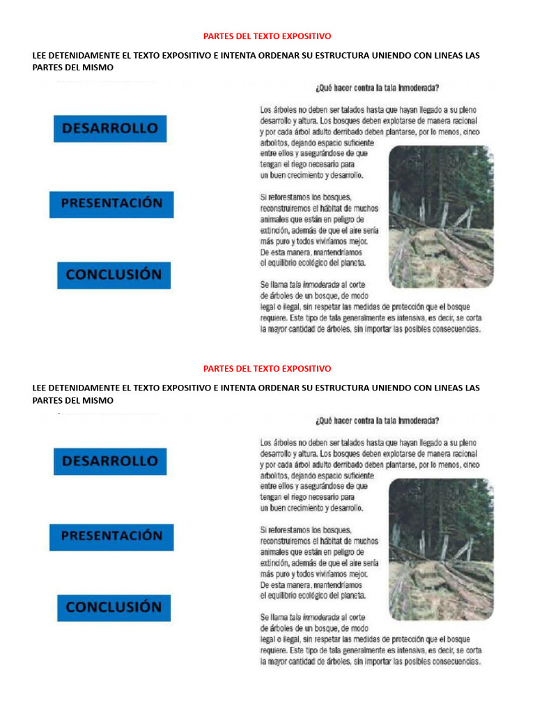 Partes Del Texto Expositivo | PDF