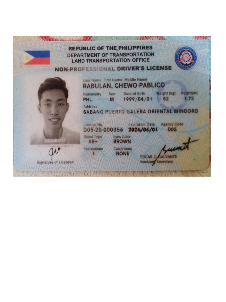 Valid Id | PDF